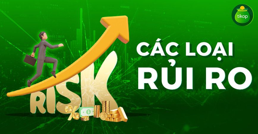 Rủi ro là gì? Các loại rủi ro trên thị trường phổ biến hiện nay - Tikop.vn