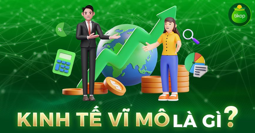 Kinh tế vĩ mô là gì? Phân biệt với kinh tế vi mô và các yếu tố cần biết - Tikop.vn
