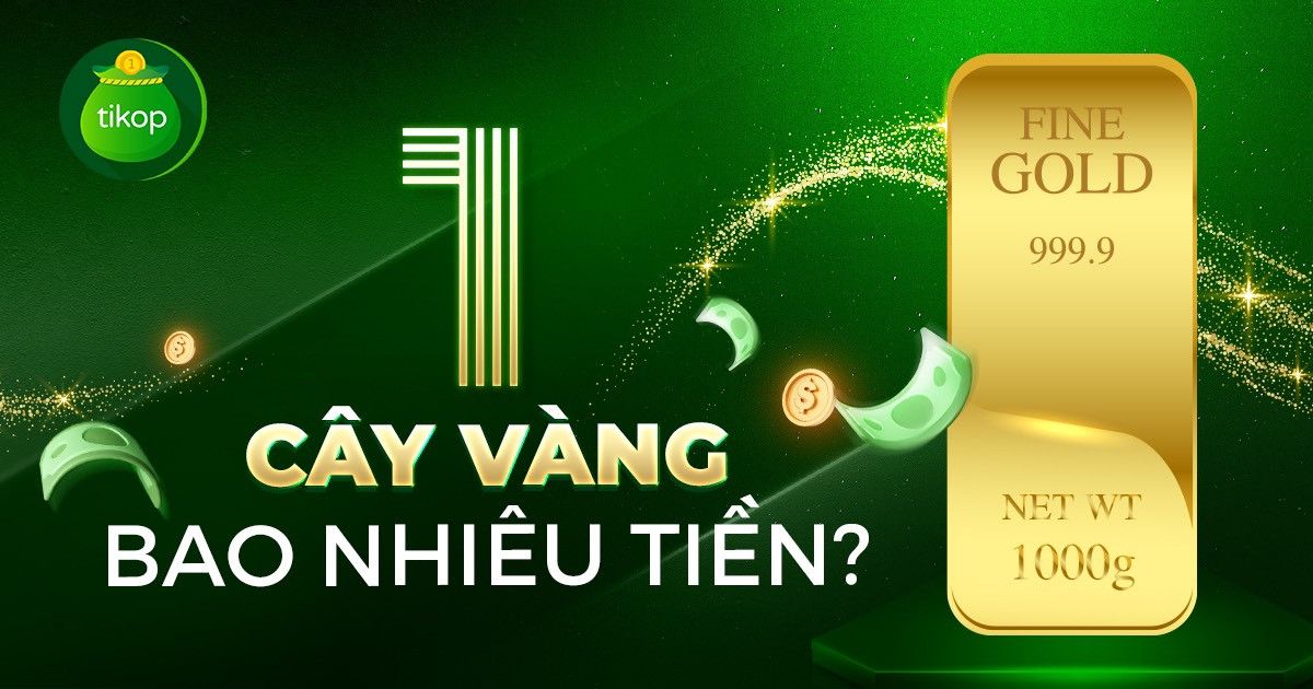 1 cây vàng nhiêu tiền? Bao nhiêu chỉ? Lưu ý khi mua vàng - Tikop.vn
