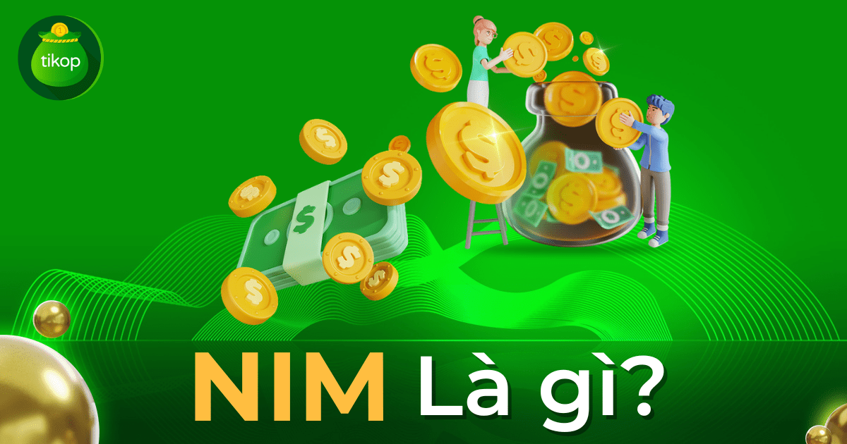 NIM là gì? Cách tính chỉ số NIM ngân hàng chi tiết và ví dụ minh họa ...
