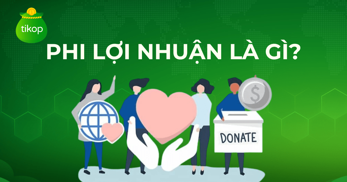 Phi lợi nhuận là gì? Phân loại & Mục đích của tổ chức phi lợi nhuận ...