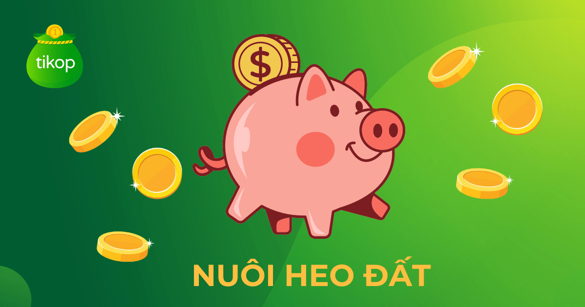 Cách nuôi heo đất tiết kiệm tiền hiệu quả, việc nhỏ, ý nghĩa lớn - Tikop.vn