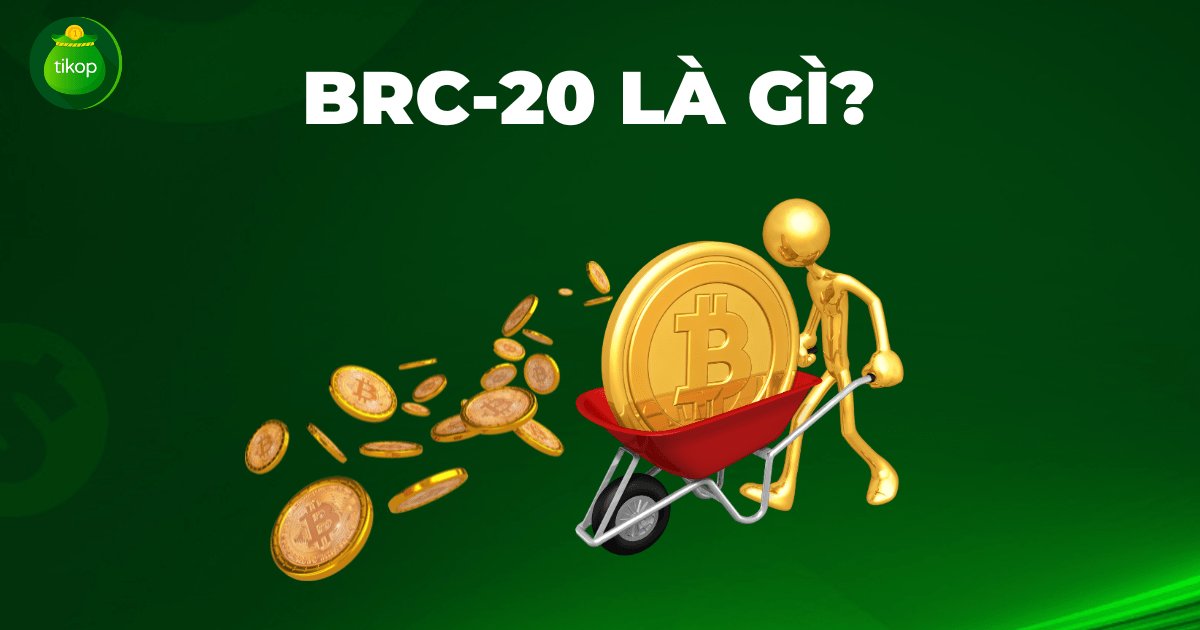 BRC-20 là gì? 6 điều nhà đầu tư cần biết về token BRC-20 hiện nay ...